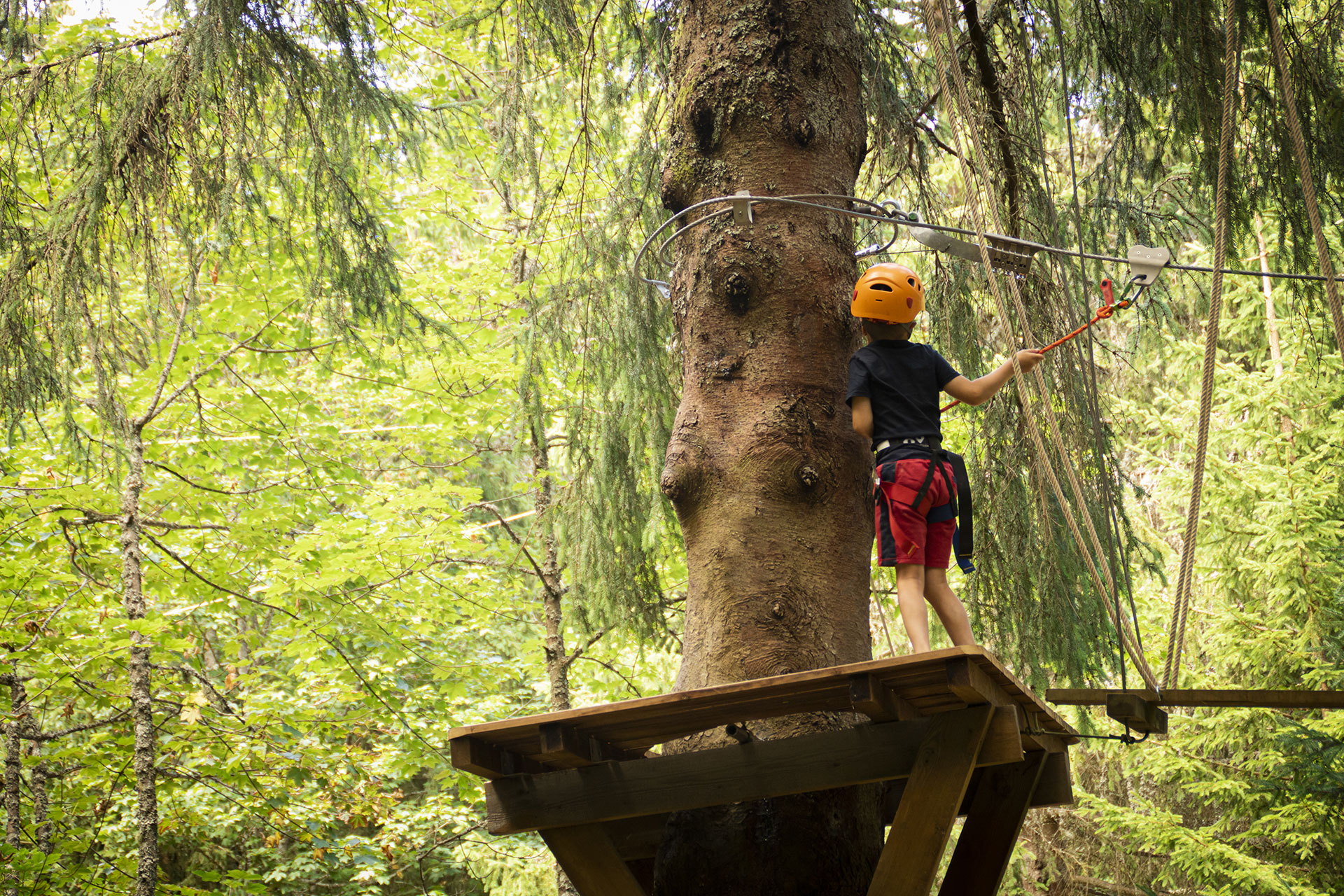 CLiC-iT RiDER: continuous pulley lifeline for accrobranche | CLiC-iT